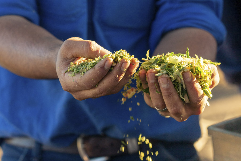 Inoculant & Silage Sheets | Green Farm Seeds