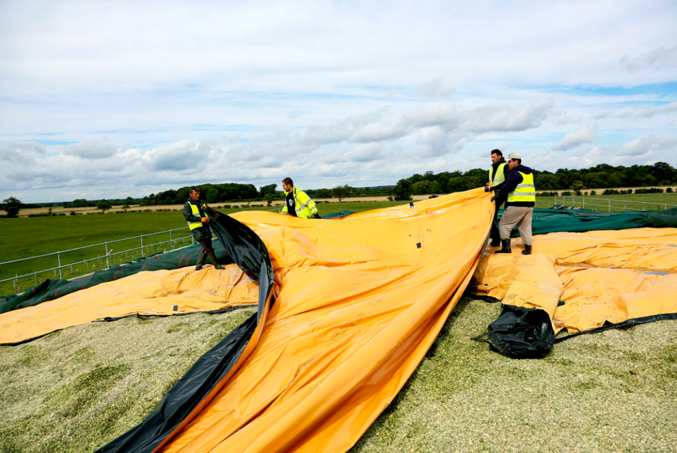 Inoculant & Silage Sheets | Green Farm Seeds